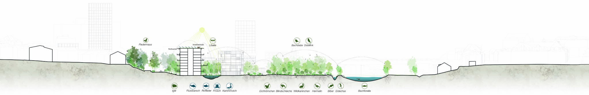 Masterplan - Echo Urban Design